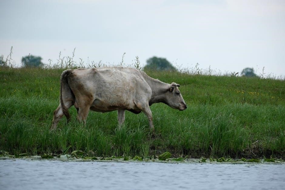 Unlock the Alt Shift Diet PDF - Transform Your Body Today!